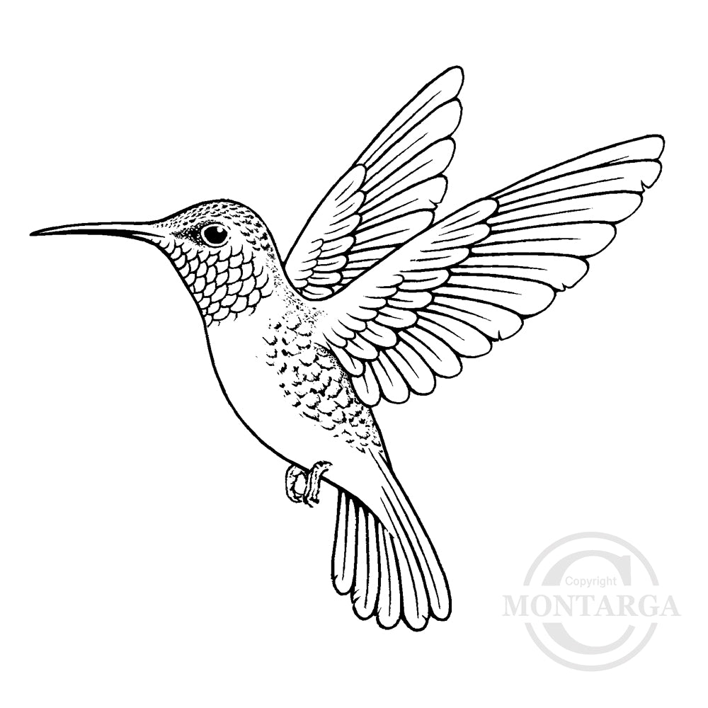 3619 G - Hummingbird Rubber Stamp – Rubber Stamps by Montarga