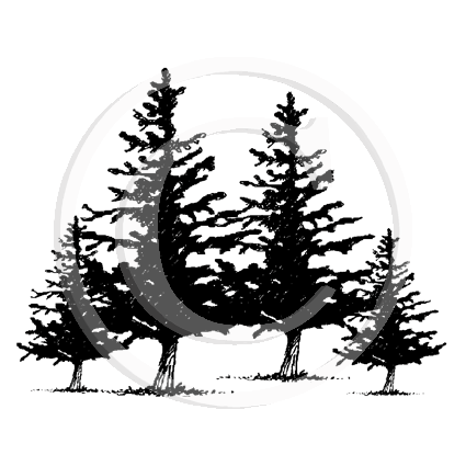 0924 D - Trees Rubber Stamp – Rubber Stamps by Montarga